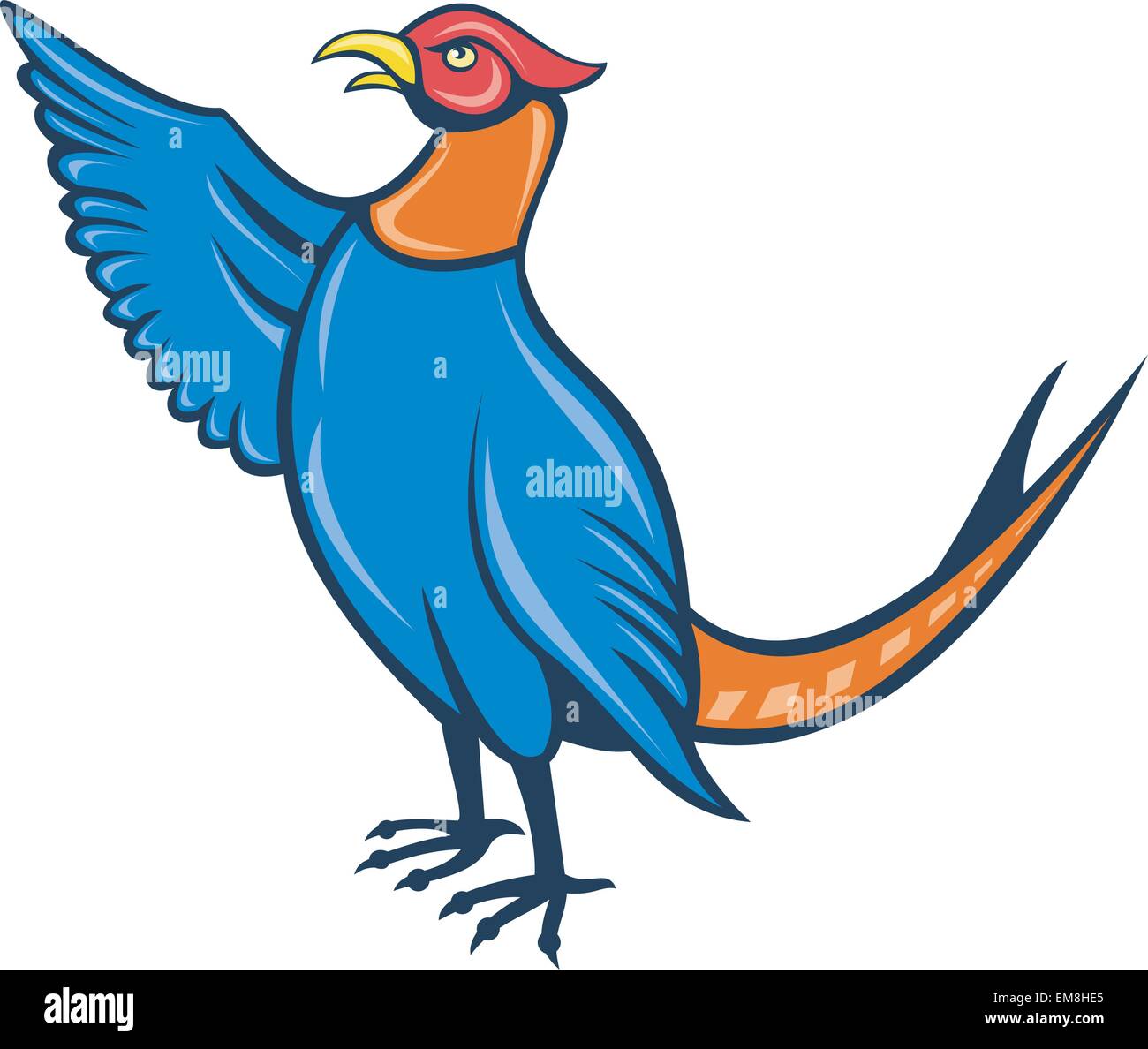 cartoon pheasant bird pointing up with wing isolated on white Stock ...