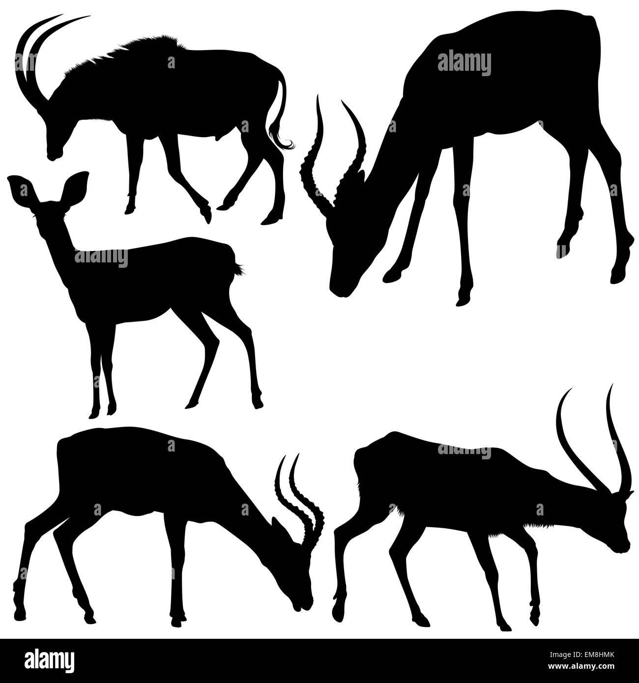 Springbok clipart Cut Out Stock Images & Pictures - Alamy
