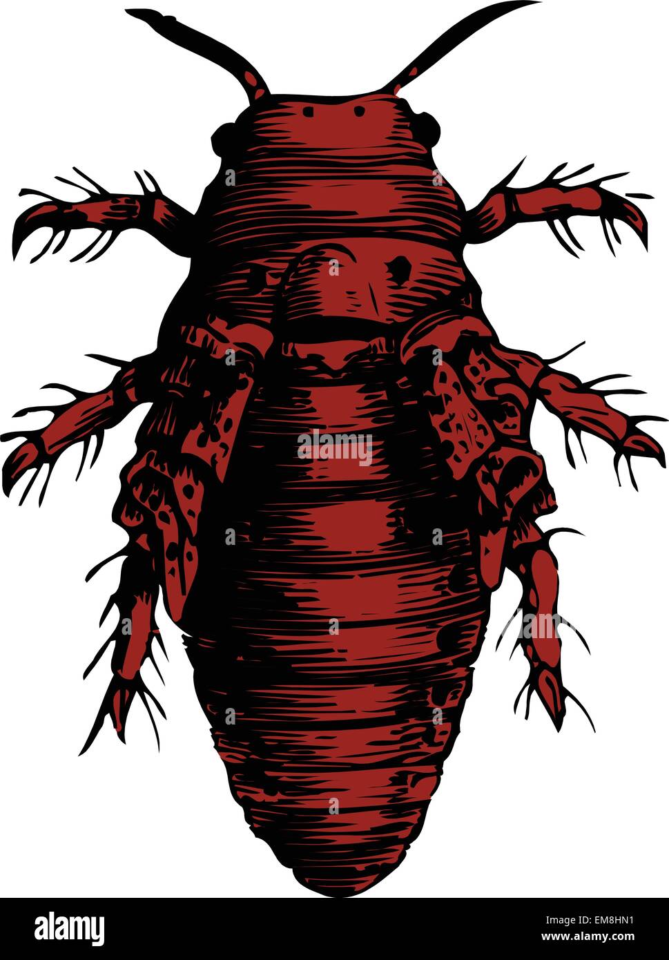 bug on white background, vector illustration Stock Vector Image & Art ...