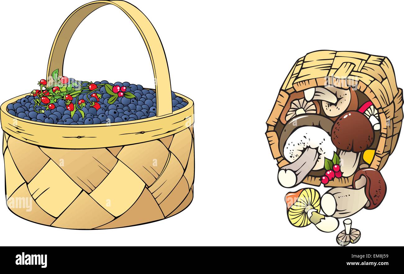 Basket berry harvest Stock Vector Images - Alamy