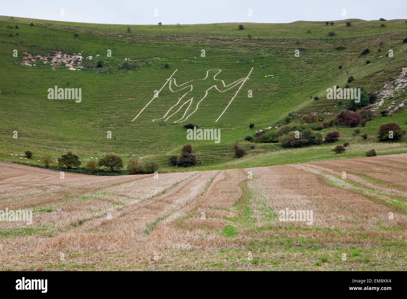 The Long Man of Wilmington is a hill figure located in Wilmington, East ...