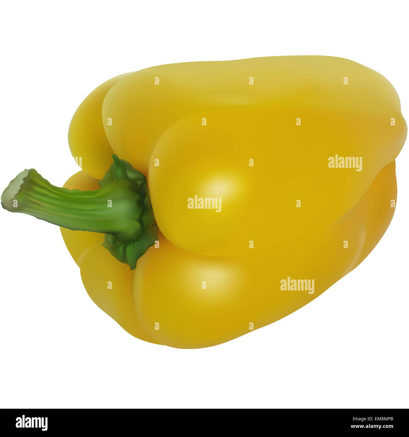 Bell pepper plant illustration hi-res stock photography and images - Alamy