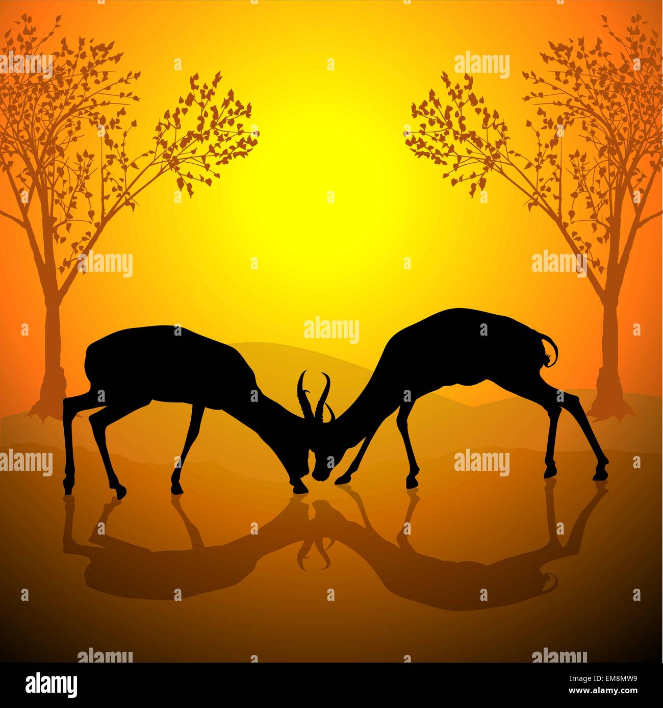 Antelope fighting Stock Vector Images - Alamy