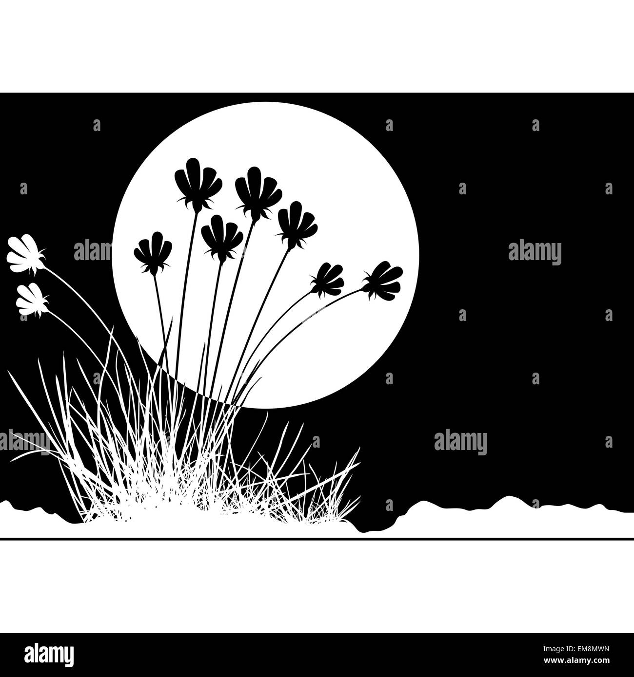 Moon grass Black and White Stock Photos & Images - Alamy