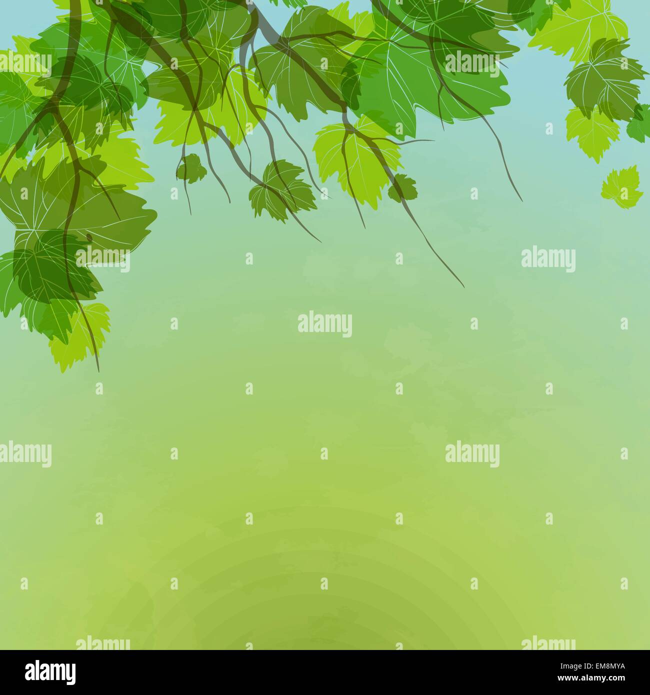 Soft natural light Stock Vector Images - Alamy