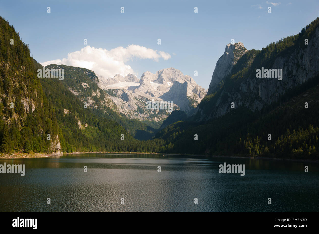 Vorderer Gosausee mit Dachsteingletscher und Gosaukamm Stock Photo - Alamy