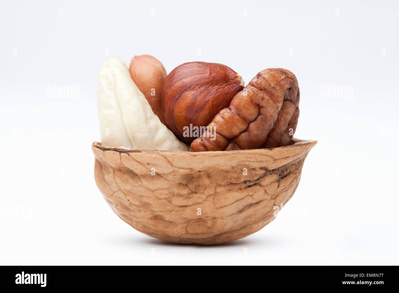 Hazelnut in shell hi-res stock photography and images - Alamy