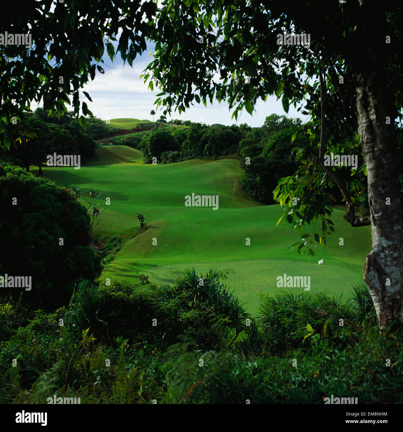 Hawaii prince resort hi-res stock photography and images - Alamy