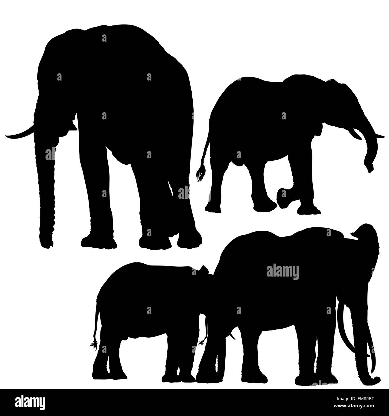 Elephants silhouette clipart hi-res stock photography and images - Alamy