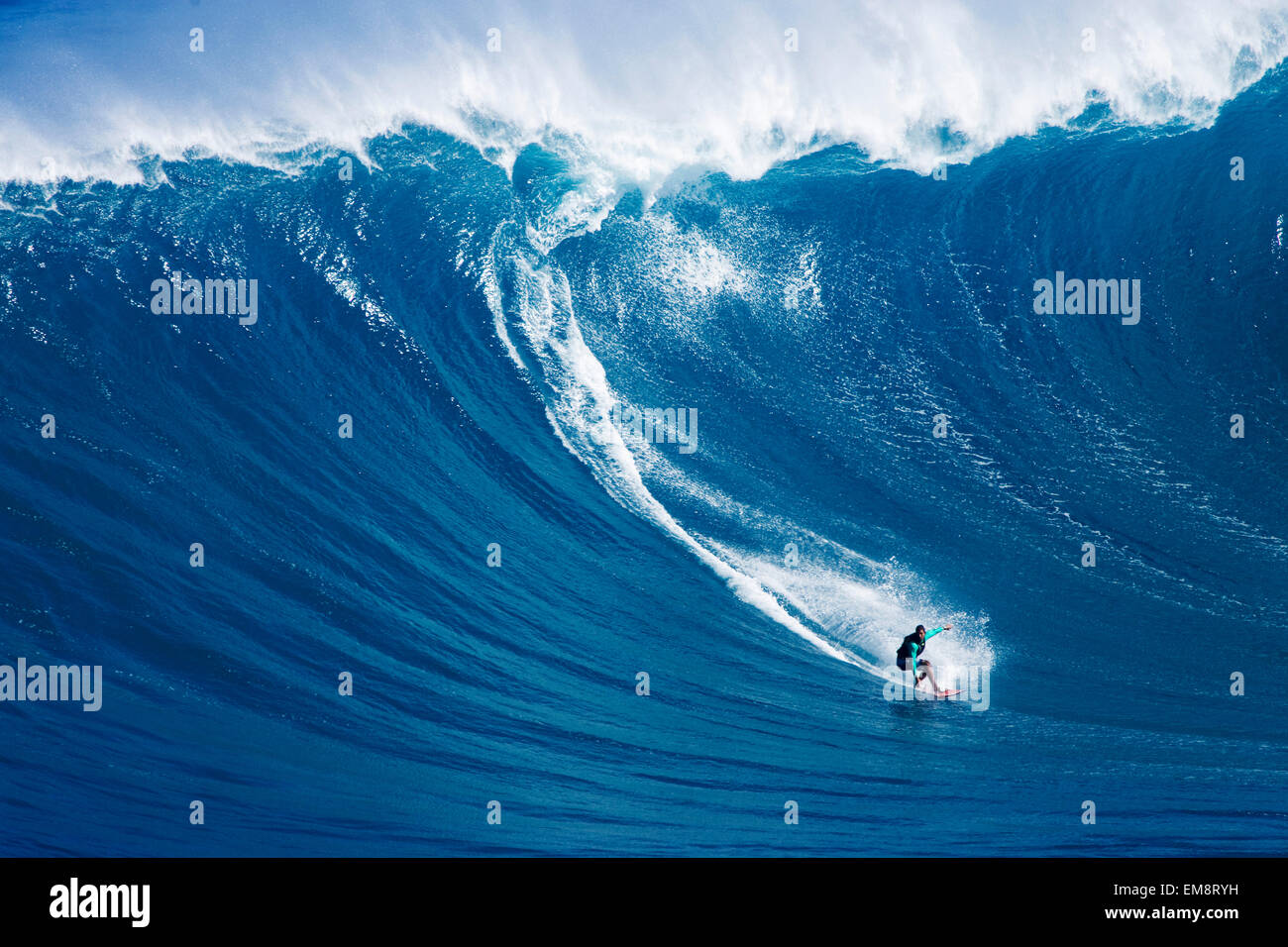 Hawaii, Maui, Yuri Farrant Surfs Huge Wave At Jaws, Aka Peahi Stock ...