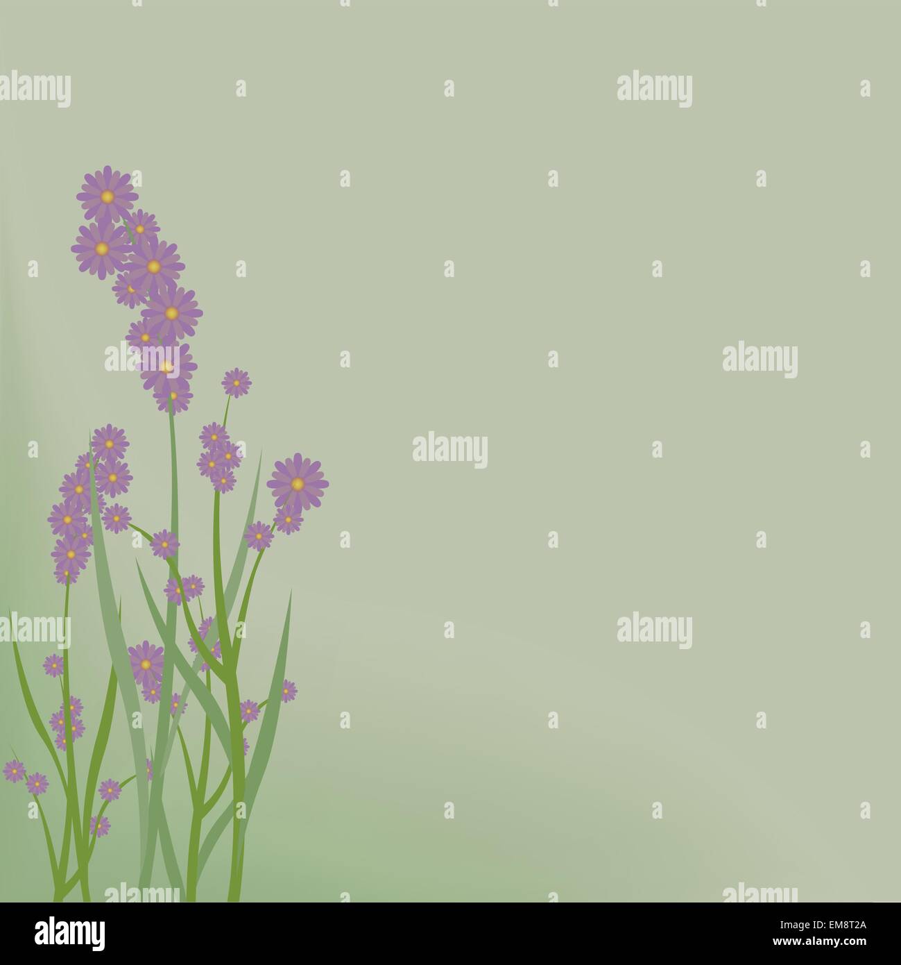 Violet flower plants Stock Vector Images - Alamy