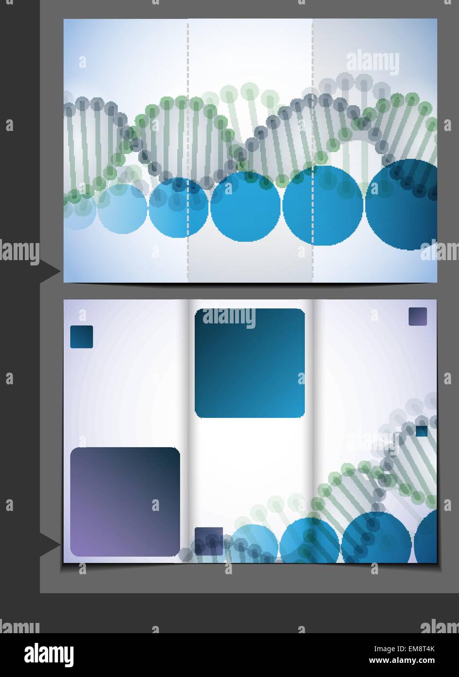 DNA Brochure Design Stock Vector Image & Art - Alamy