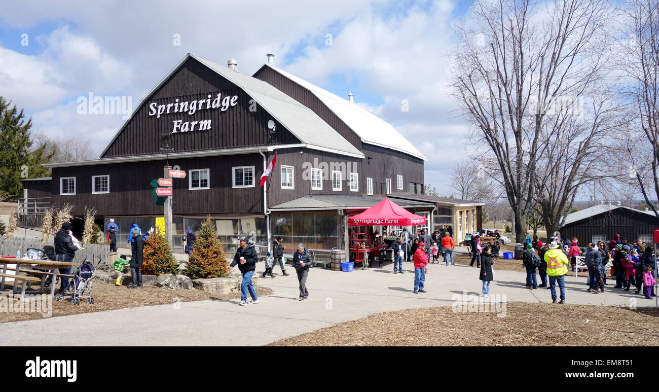 Springridge Farm during the annual Egg Hunt in Ontario, Canada Stock ...