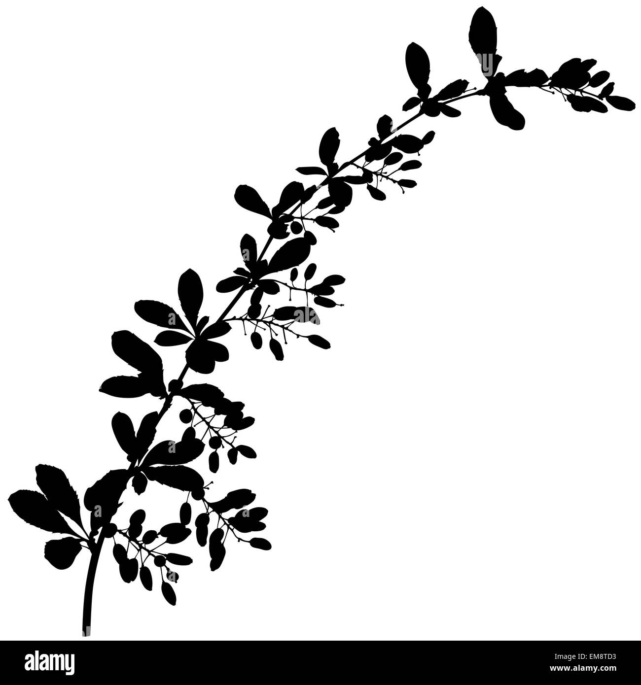 Sprig design Stock Vector Images - Alamy