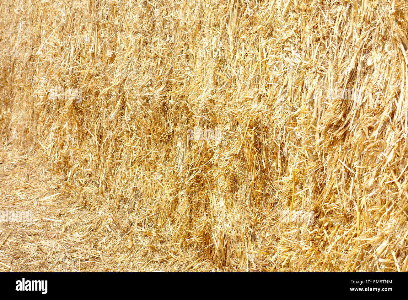 Hay stack in a farm in Ontario, Canada Stock Photo - Alamy