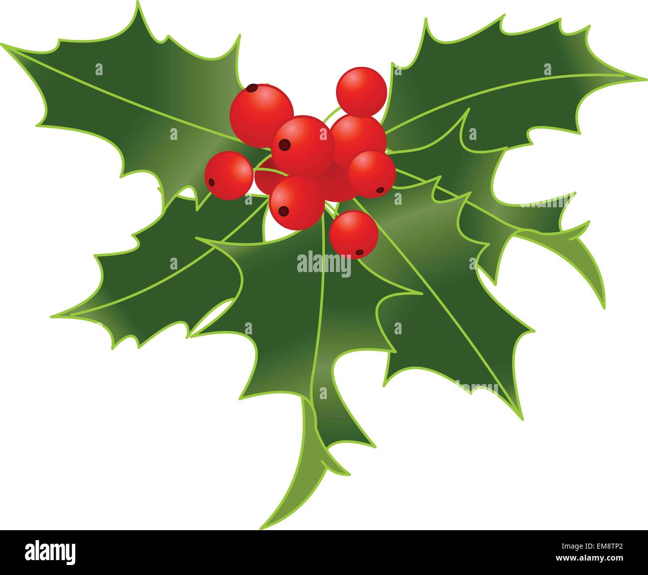 Berry bright red Stock Vector Images - Alamy