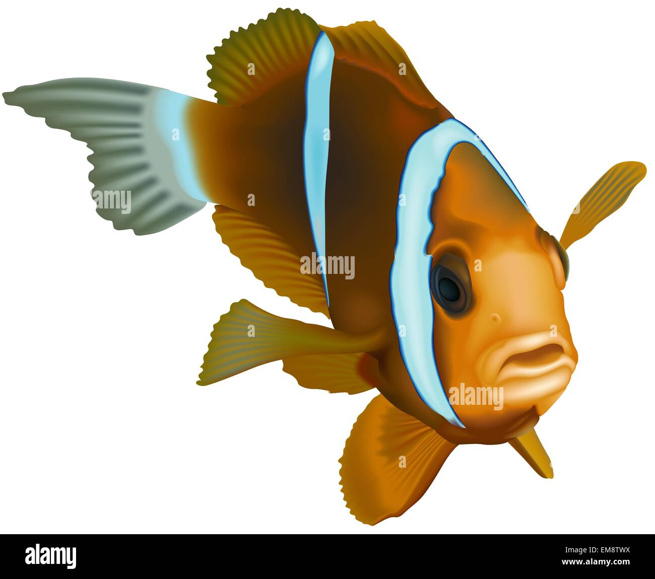 Reef tropical fish Stock Vector Images - Alamy