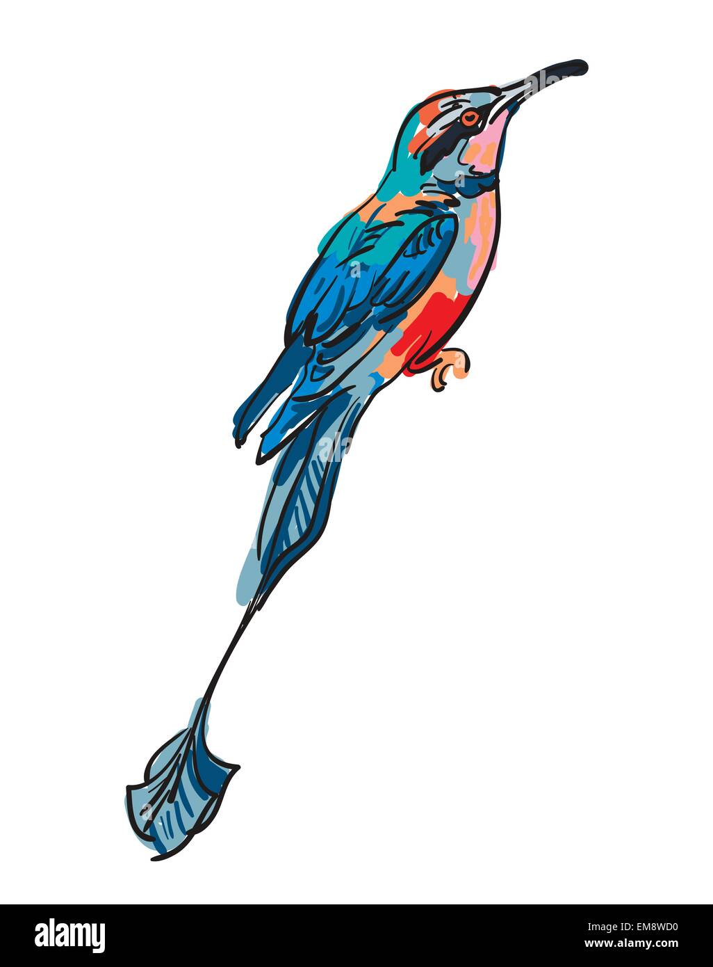 Vector drawing of the bird Stock Vector Image & Art - Alamy