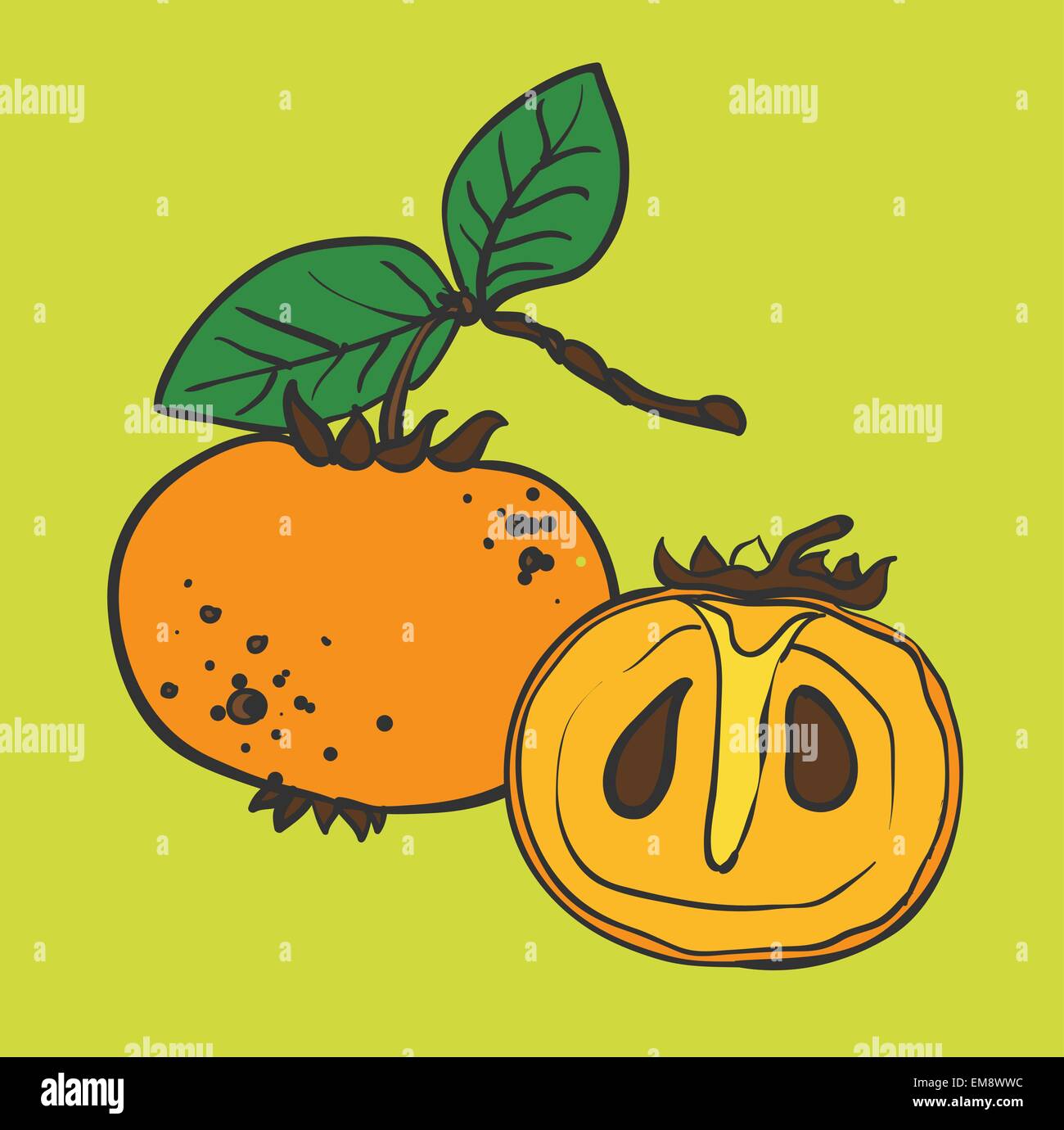 Persimmon with leaf Stock Vector Images - Alamy