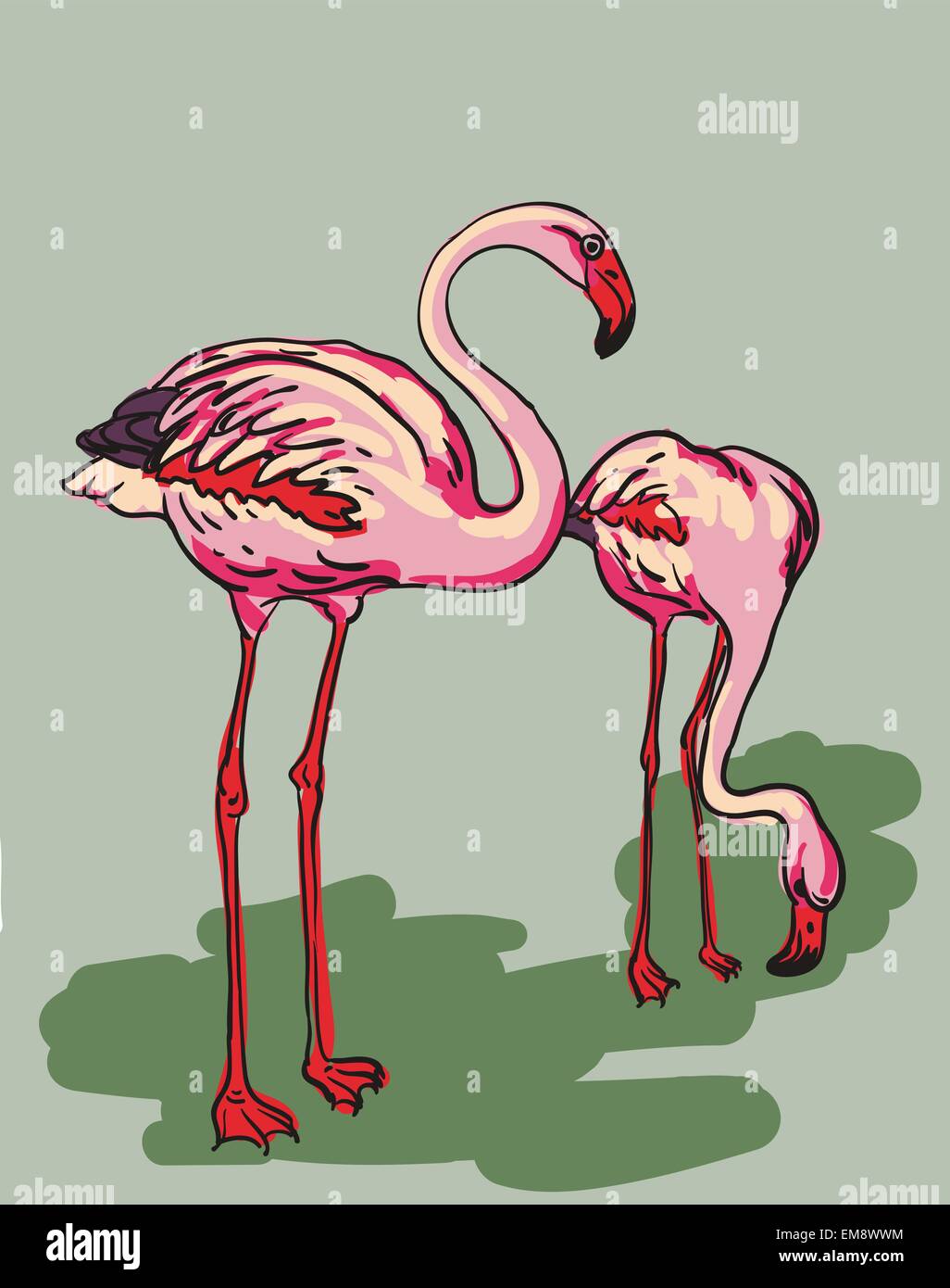 Painted flamingo bird - vector illustration Stock Vector Image & Art ...