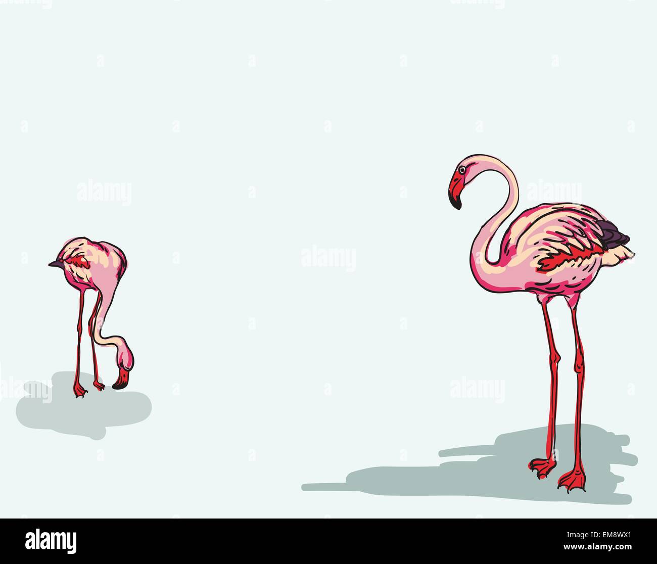 Painted flamingo bird - vector illustration Stock Vector Image & Art ...