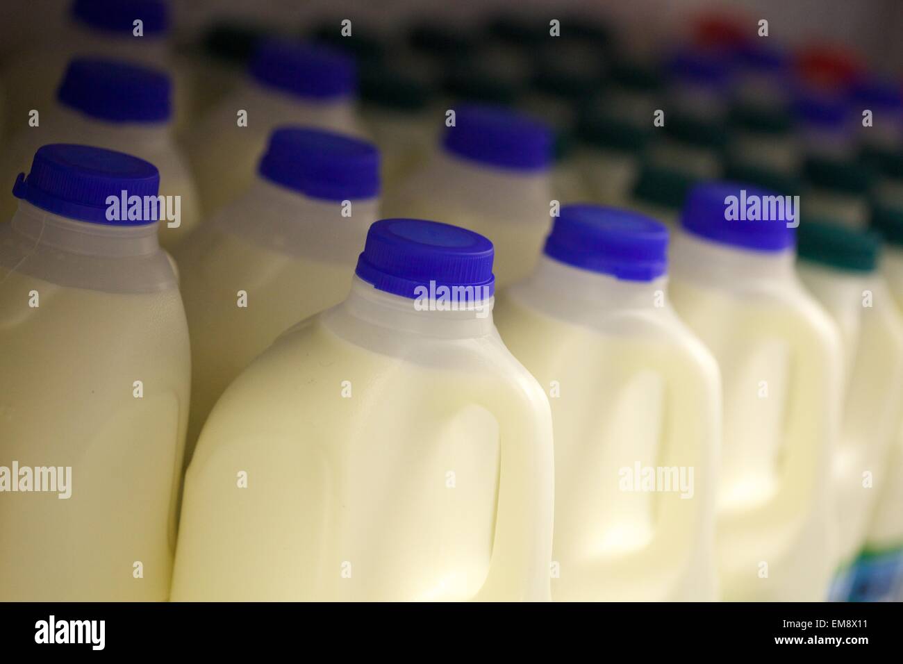 Plastic milk bottles on a supermarket shelf Stock Photo - Alamy