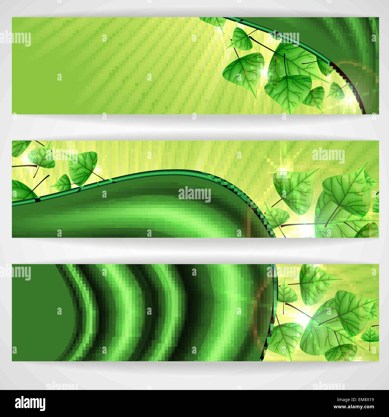 Eco Green Background With Leaves Stock Vector Image & Art - Alamy