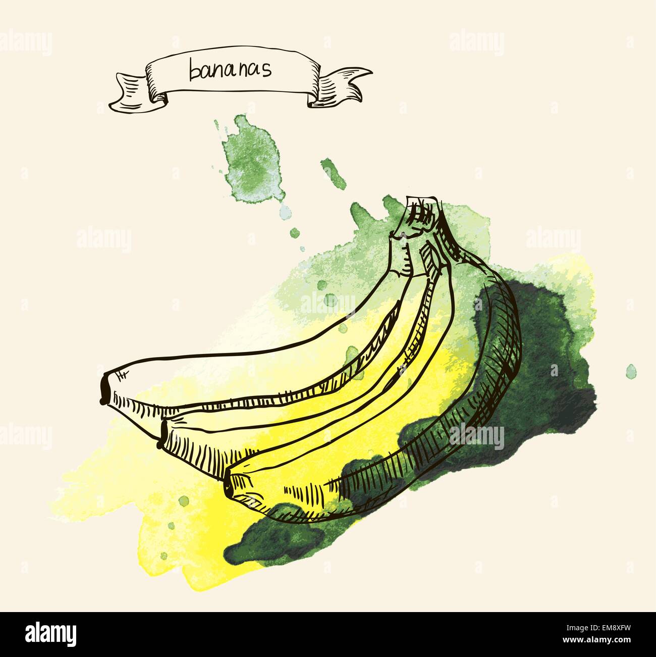 Hand drawn illustration of banana Stock Vector Image & Art - Alamy