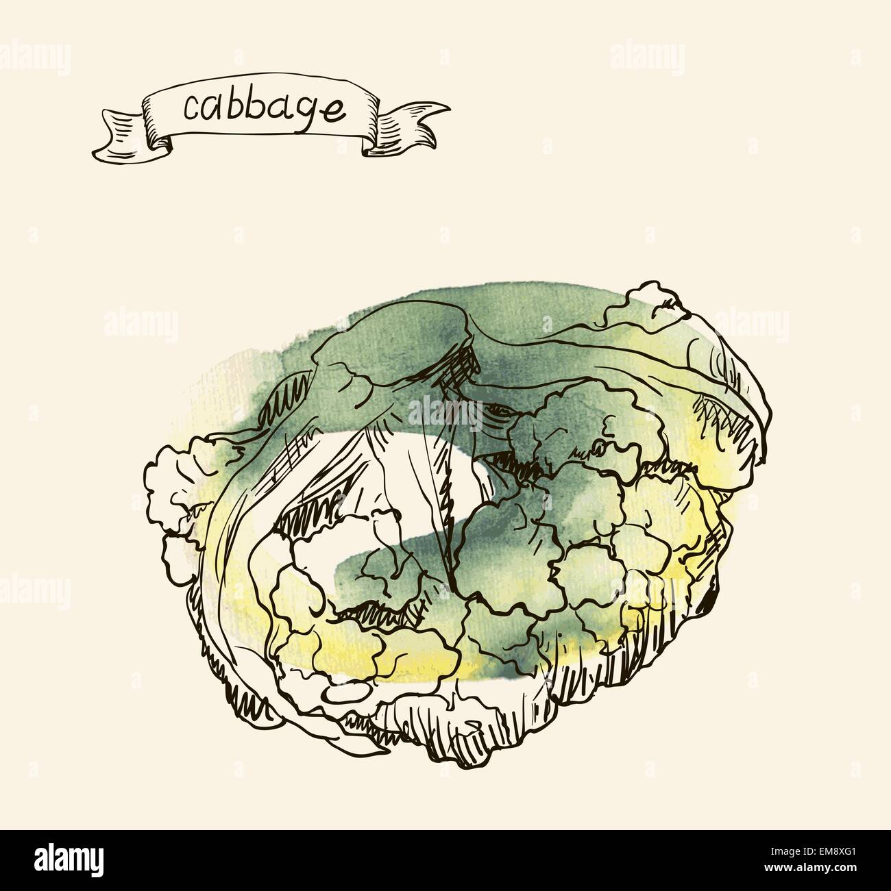 Stylized outline illustration hand Stock Vector Images - Alamy