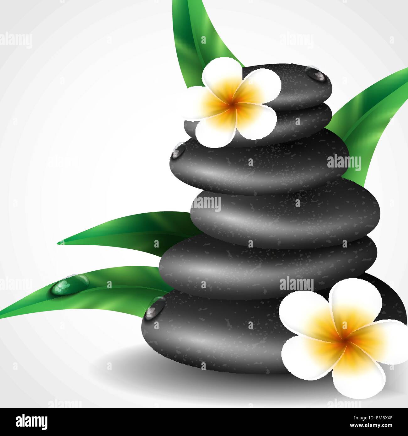 Frangipani flower Stock Vector Images - Alamy