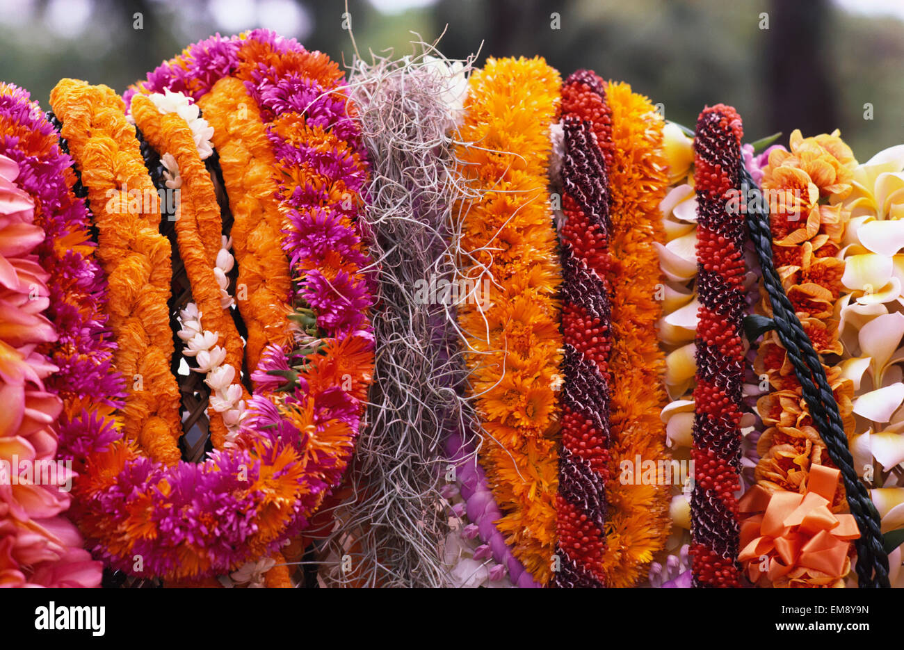 Assorted Hawaiian Leis, Hanging In Bright, Colorful Strands Stock Photo ...