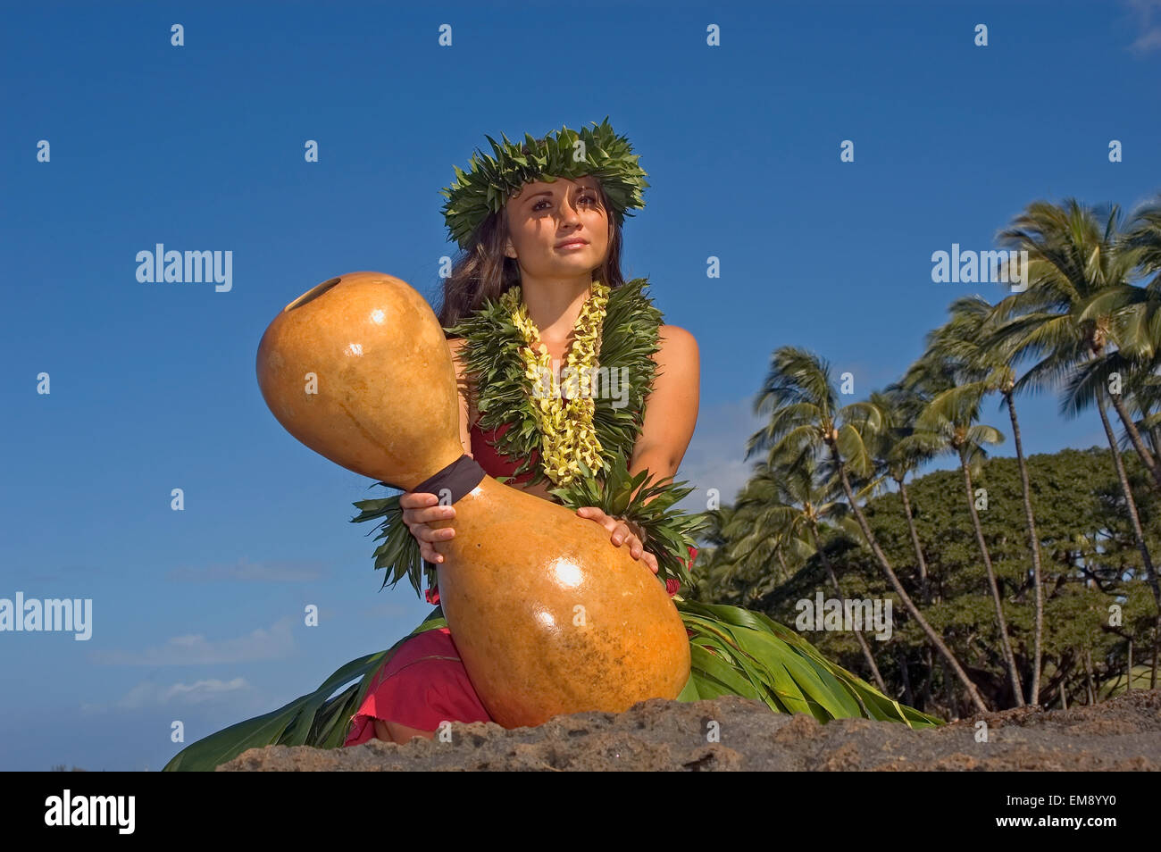 Hula Dancer With Haku Lei In Ti-Leaf Skirt On Rocky Shore Holding Ipu ...