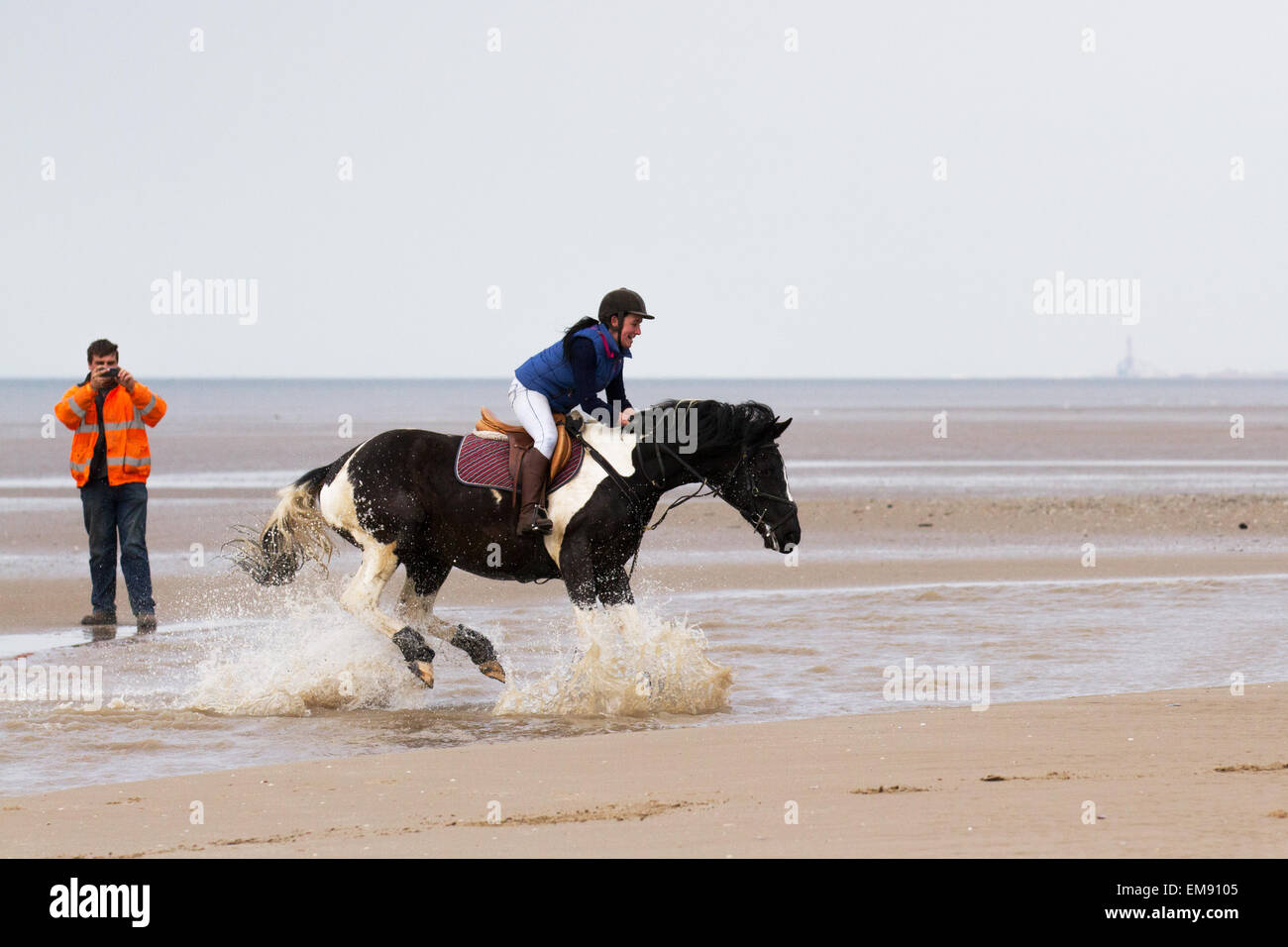 Black horse galloping on beach hi-res stock photography and images - Alamy