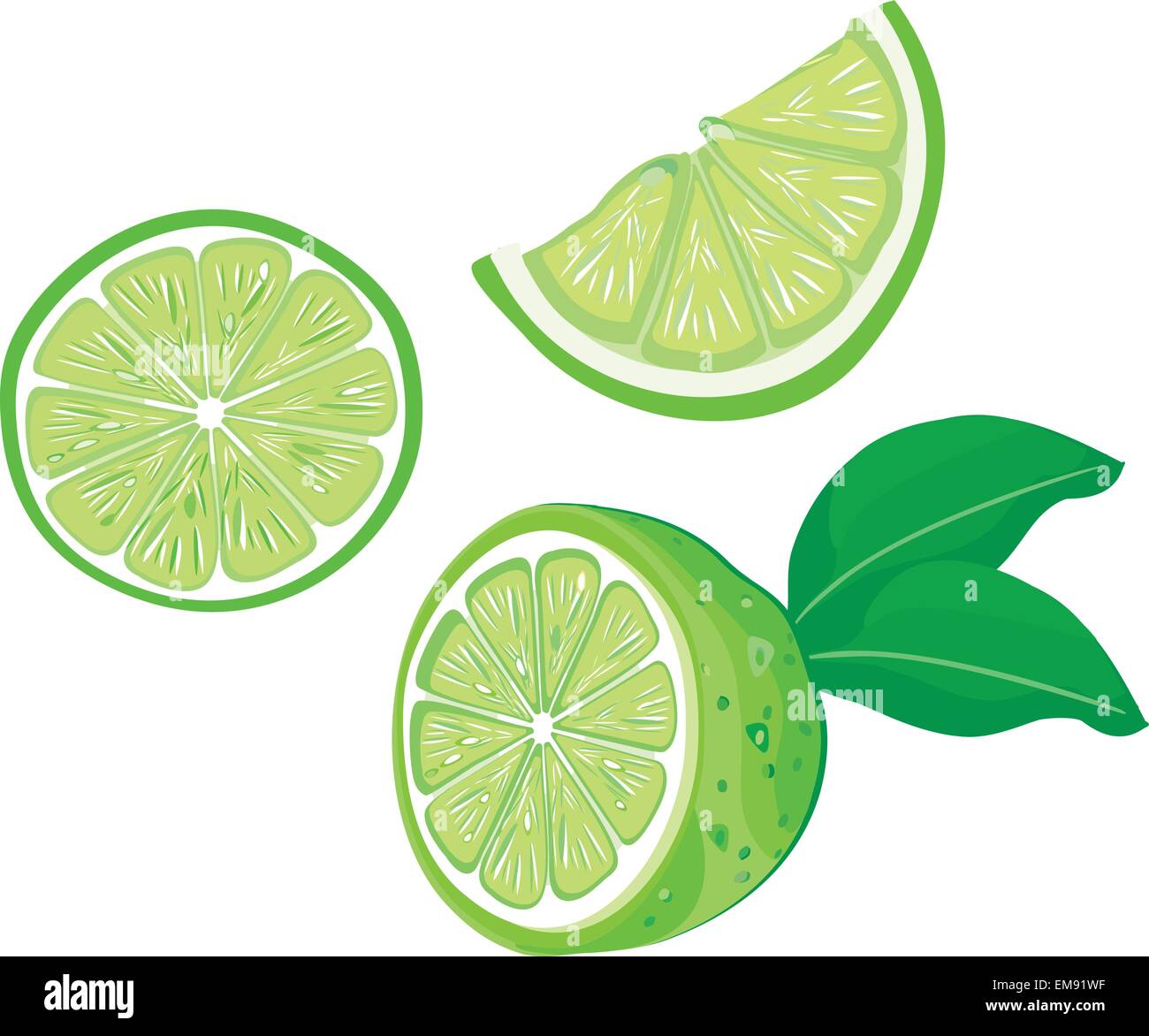 Fresh lemons green leaf Stock Vector Images - Alamy
