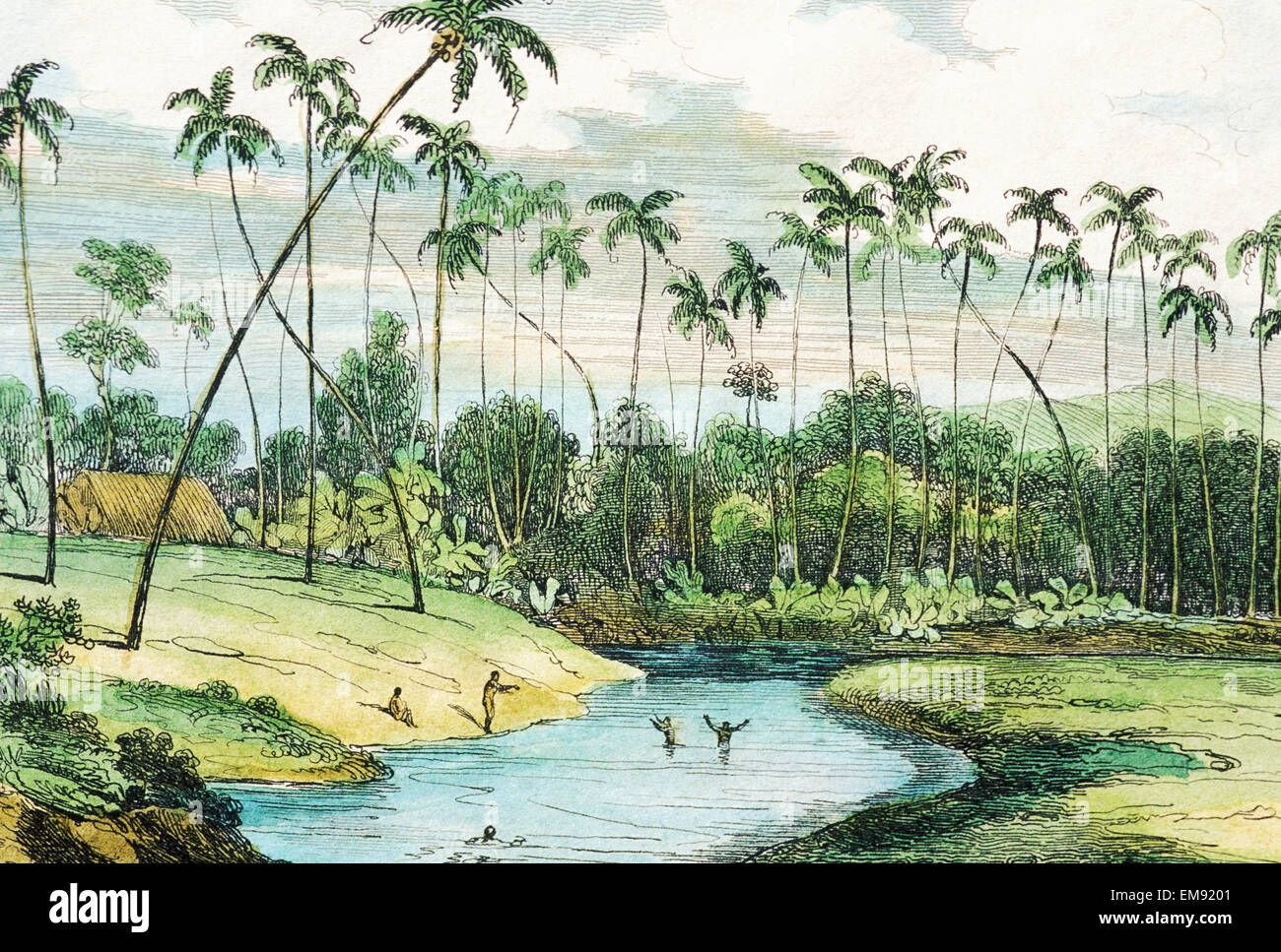 C.1847 Art/Book Illustration, Hawaii, Big Island, Hilo, Waiakea, Rio ...