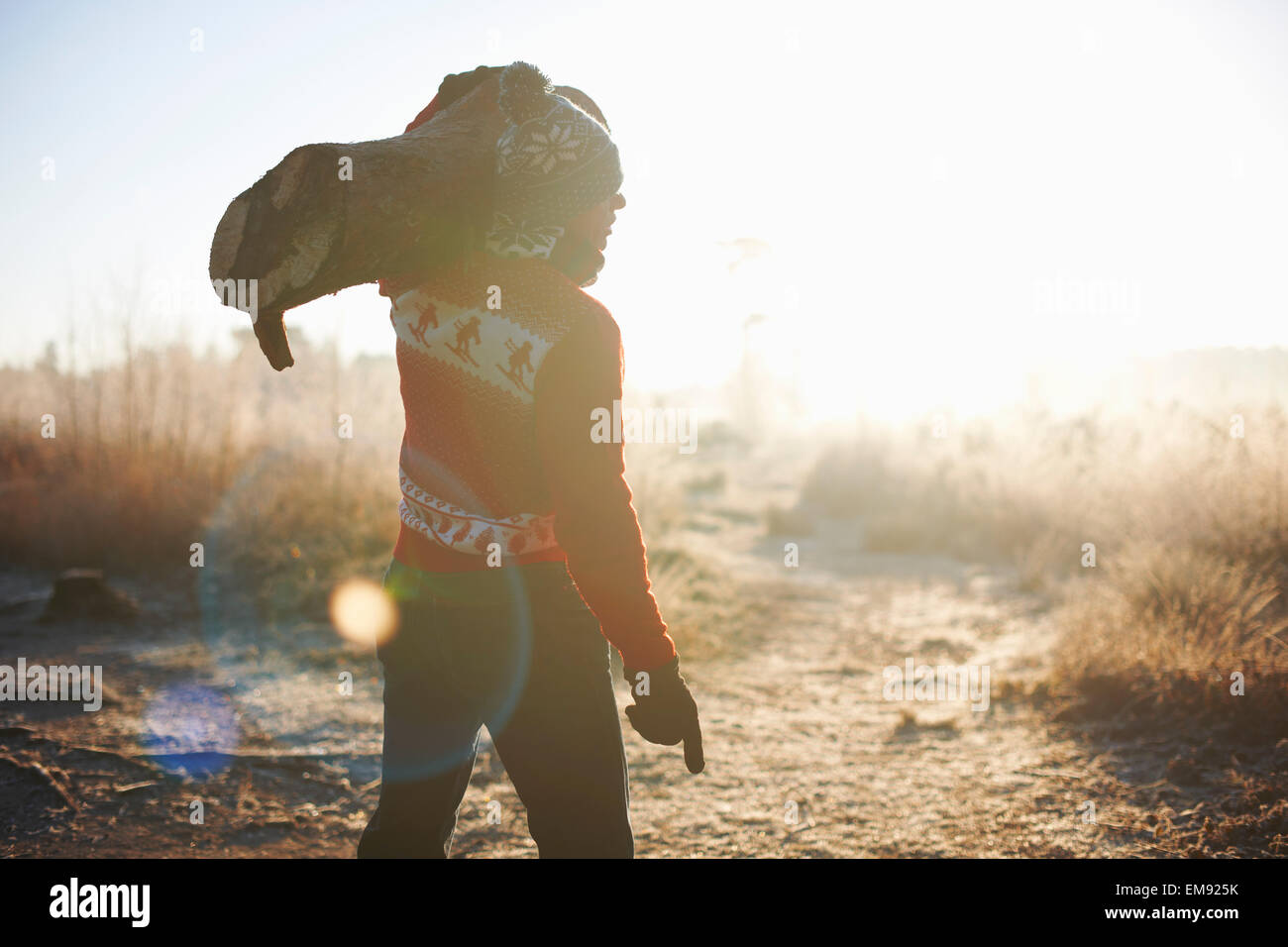 Man carrying log in rural landscape Stock Photo - Alamy