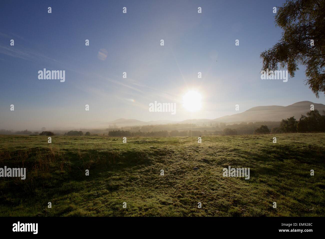 Sunlight over field, Loch Ness, Whitebridge, Scotland Stock Photo - Alamy
