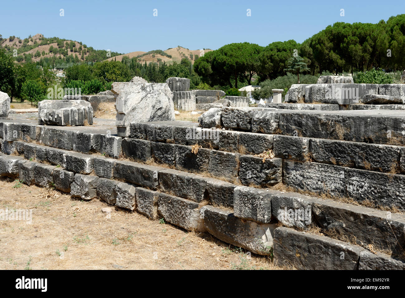 View of the original crepidoma (stepped foundation) at the west end of ...