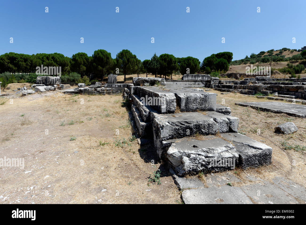 Pronaos Stock Photos & Pronaos Stock Images - Alamy
