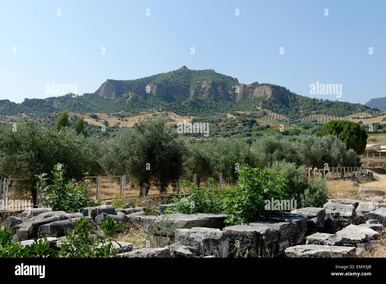View towards the Acropolis where the legendary King Croesus has his ...