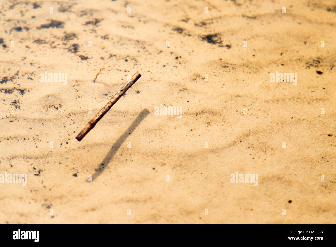 A twig floating on clear pond water showing its shadow on Horsell ...