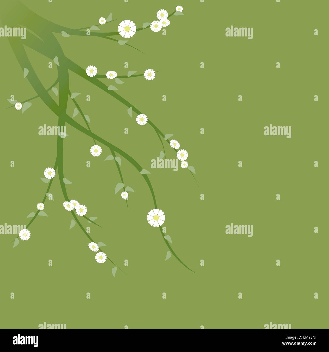 Flowering Green Branches Stock Vector Image & Art - Alamy