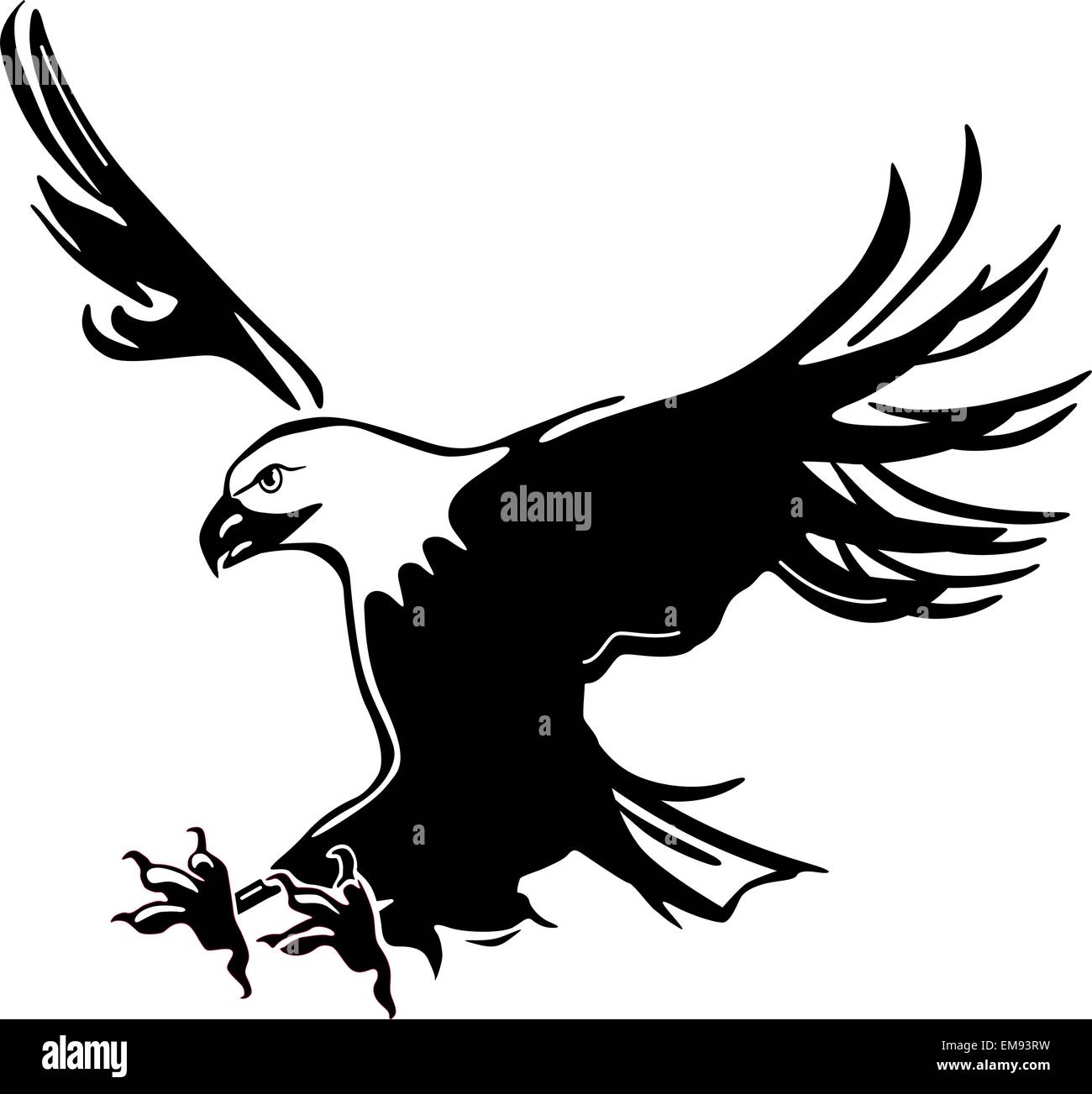 Bald eagle flying bald eagle flying Stock Vector Images - Alamy