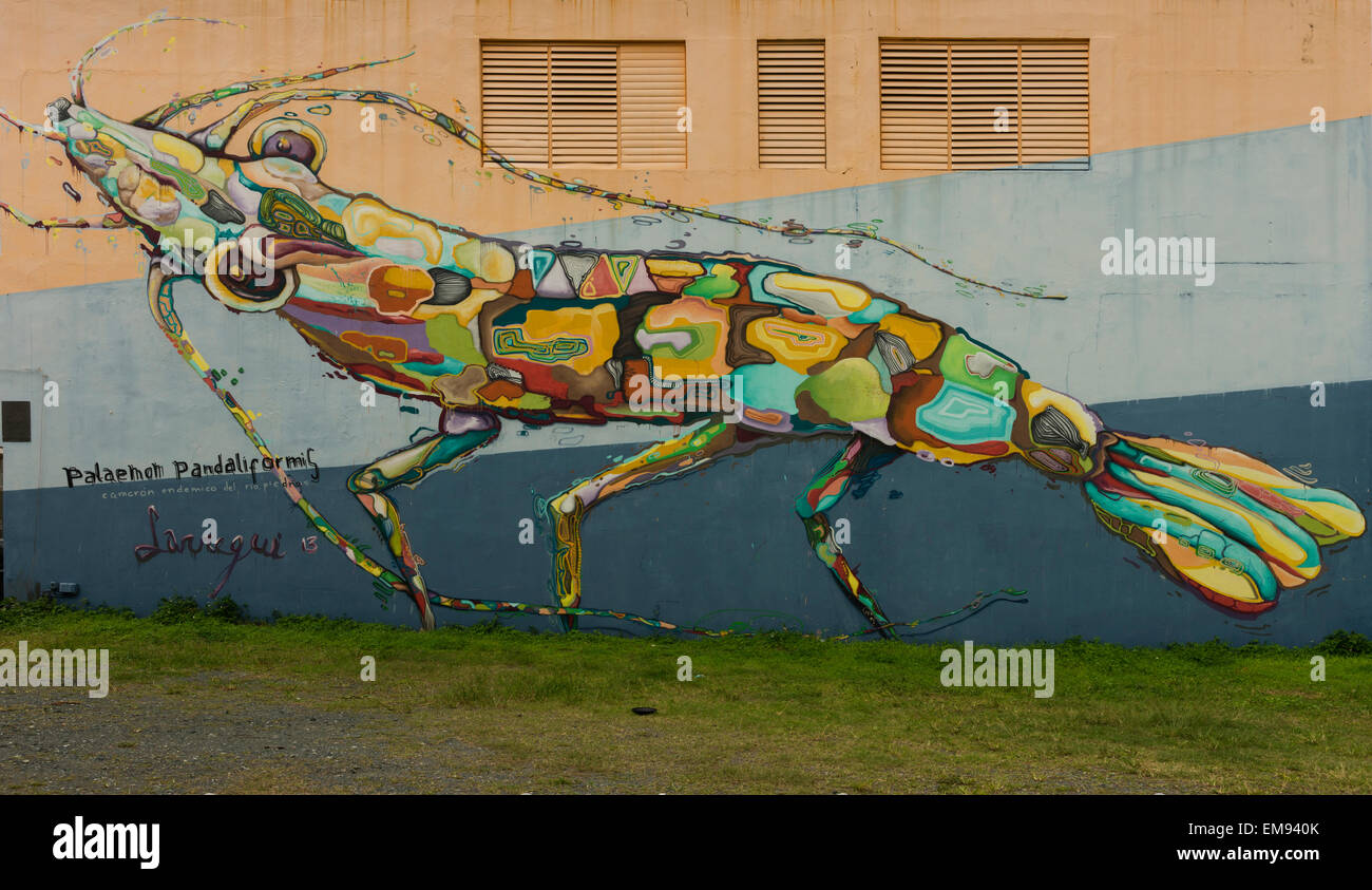 Graffiti of giant multicolor shrimp or insect Stock Photo - Alamy