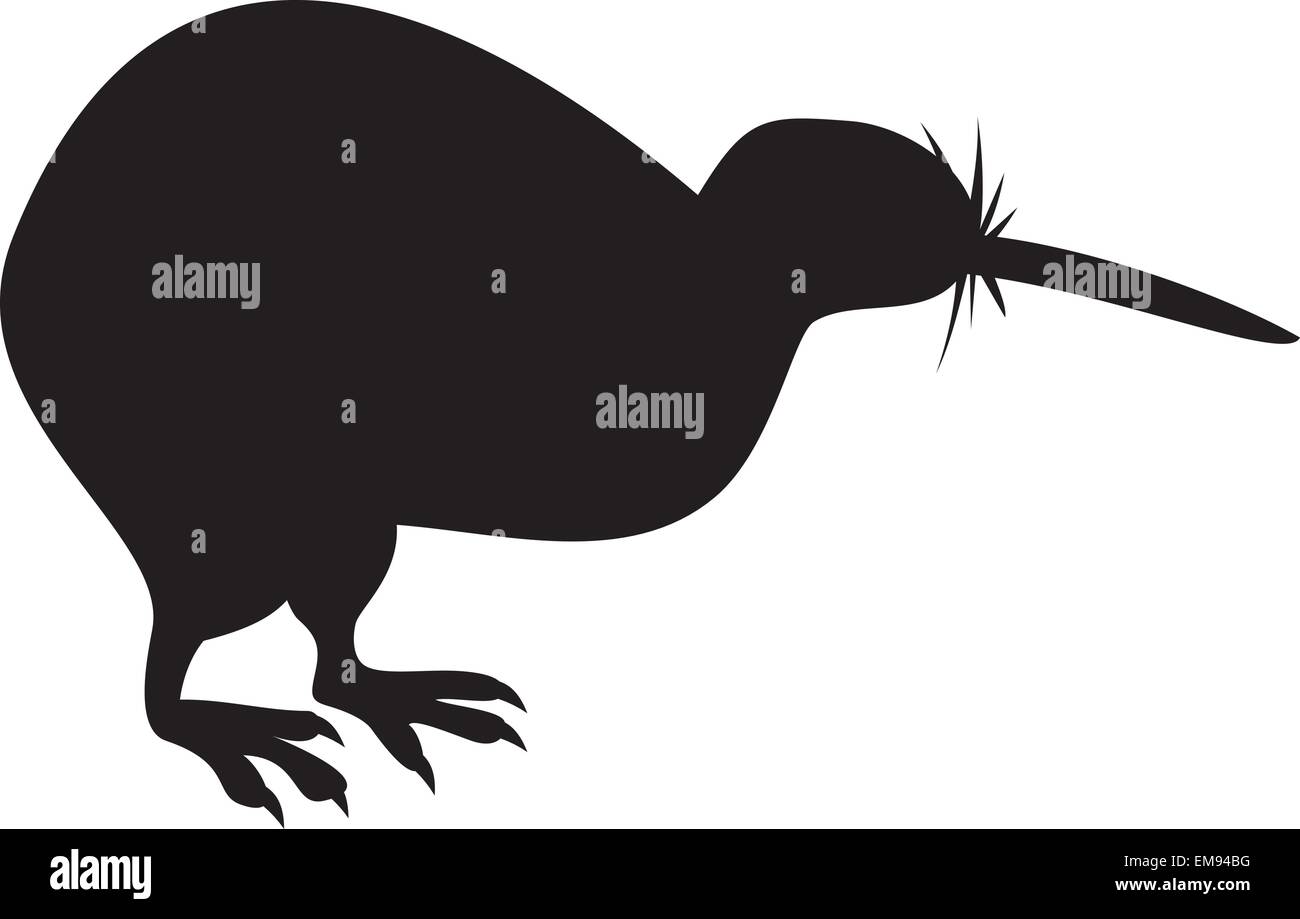 Kiwi Bird Isolated Stock Vector Image & Art - Alamy