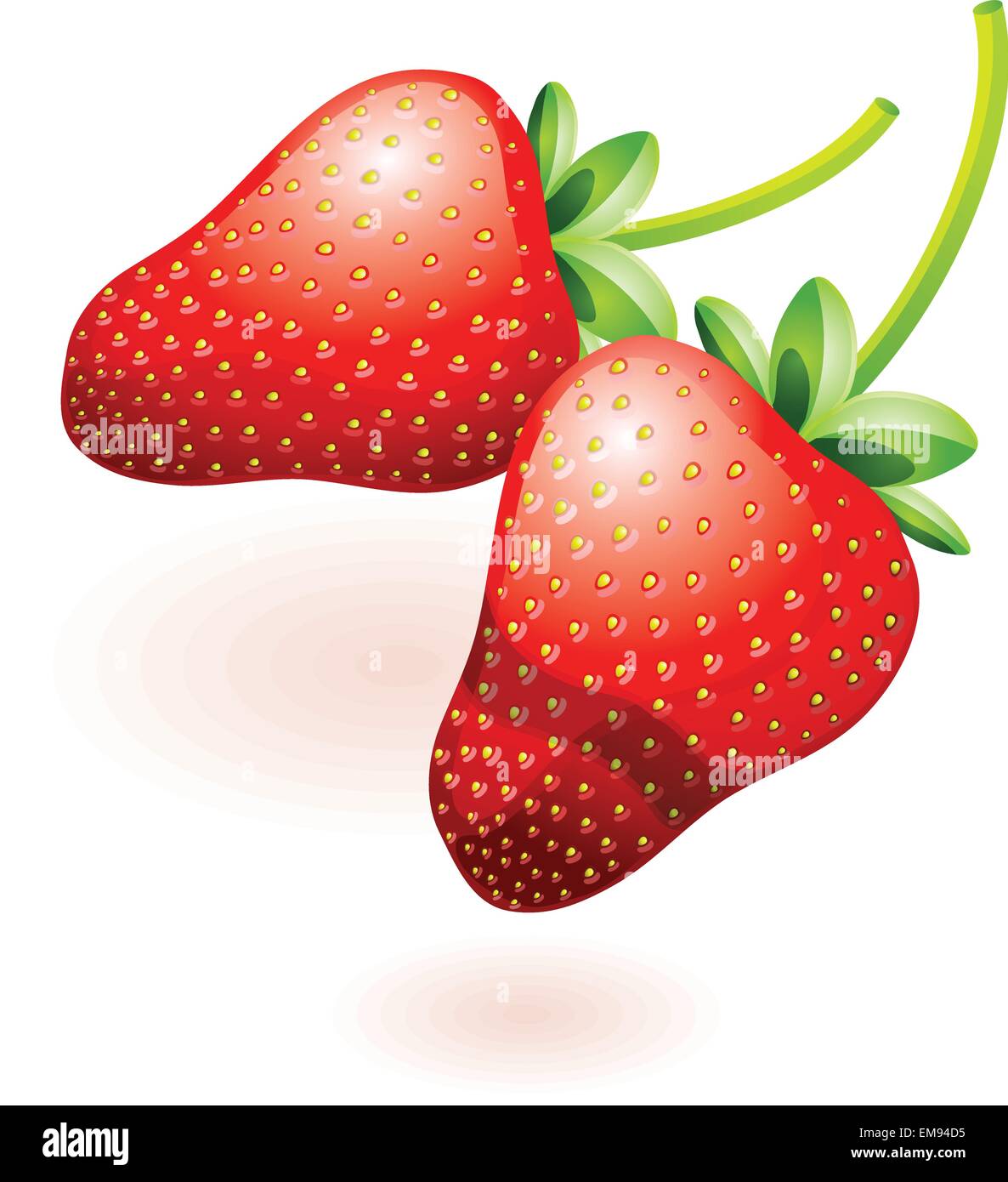 Vector illustration of red strawberries Stock Vector Image & Art - Alamy