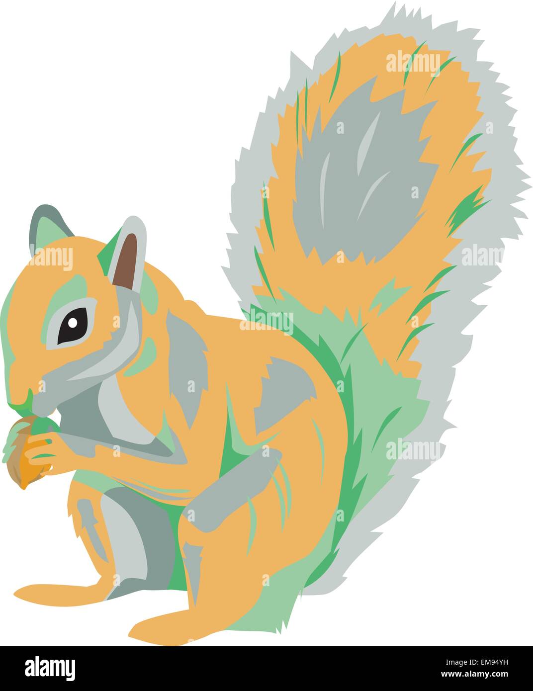 Baby squirrel Stock Vector Images - Alamy