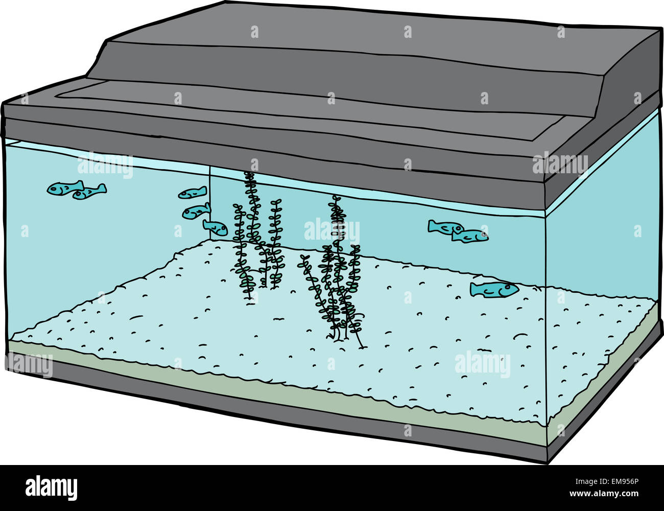 Tiny fish swimming inside fish tank over white Stock Photo - Alamy