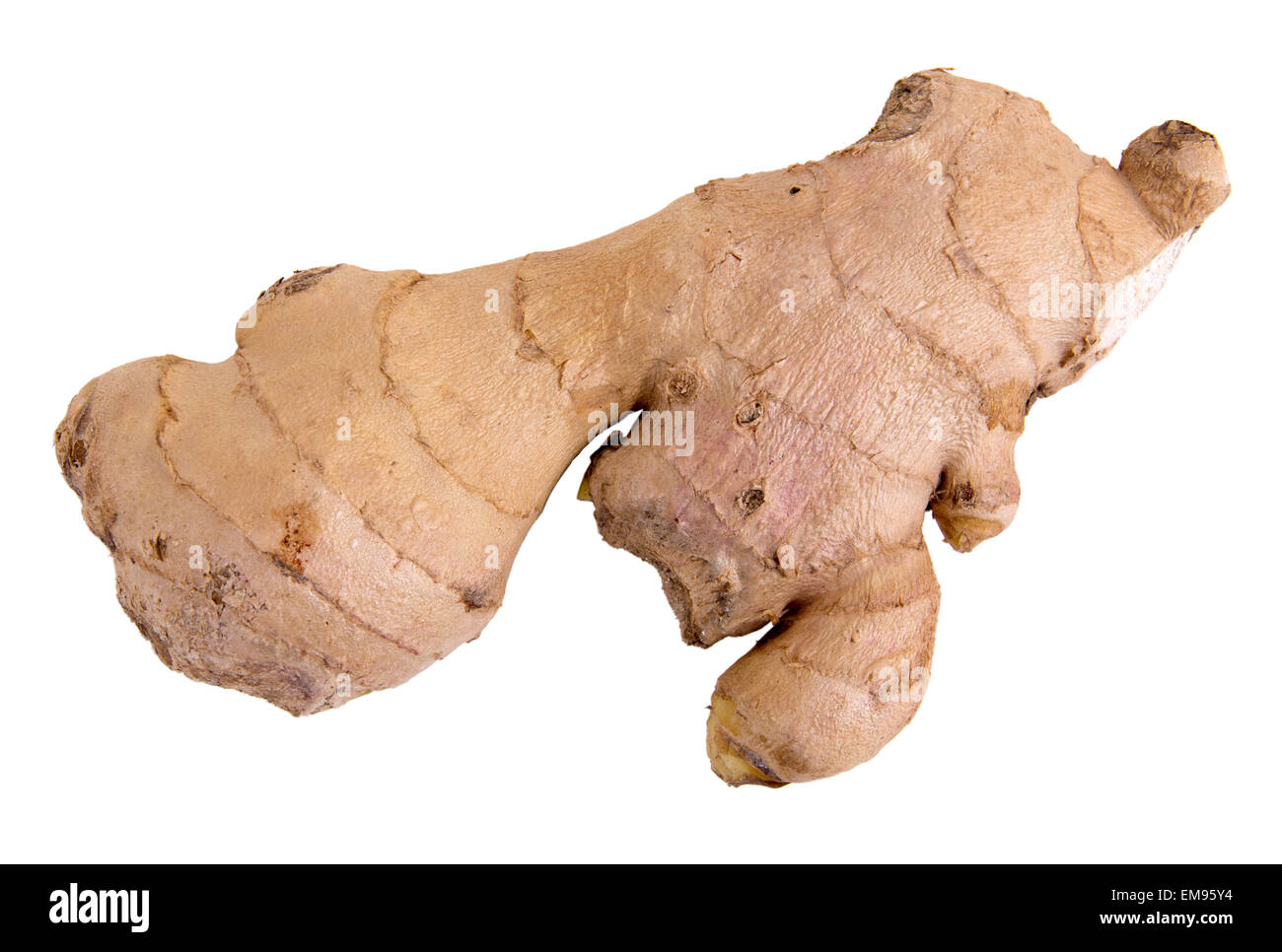 Whole ginger root isolated on white background Stock Photo - Alamy