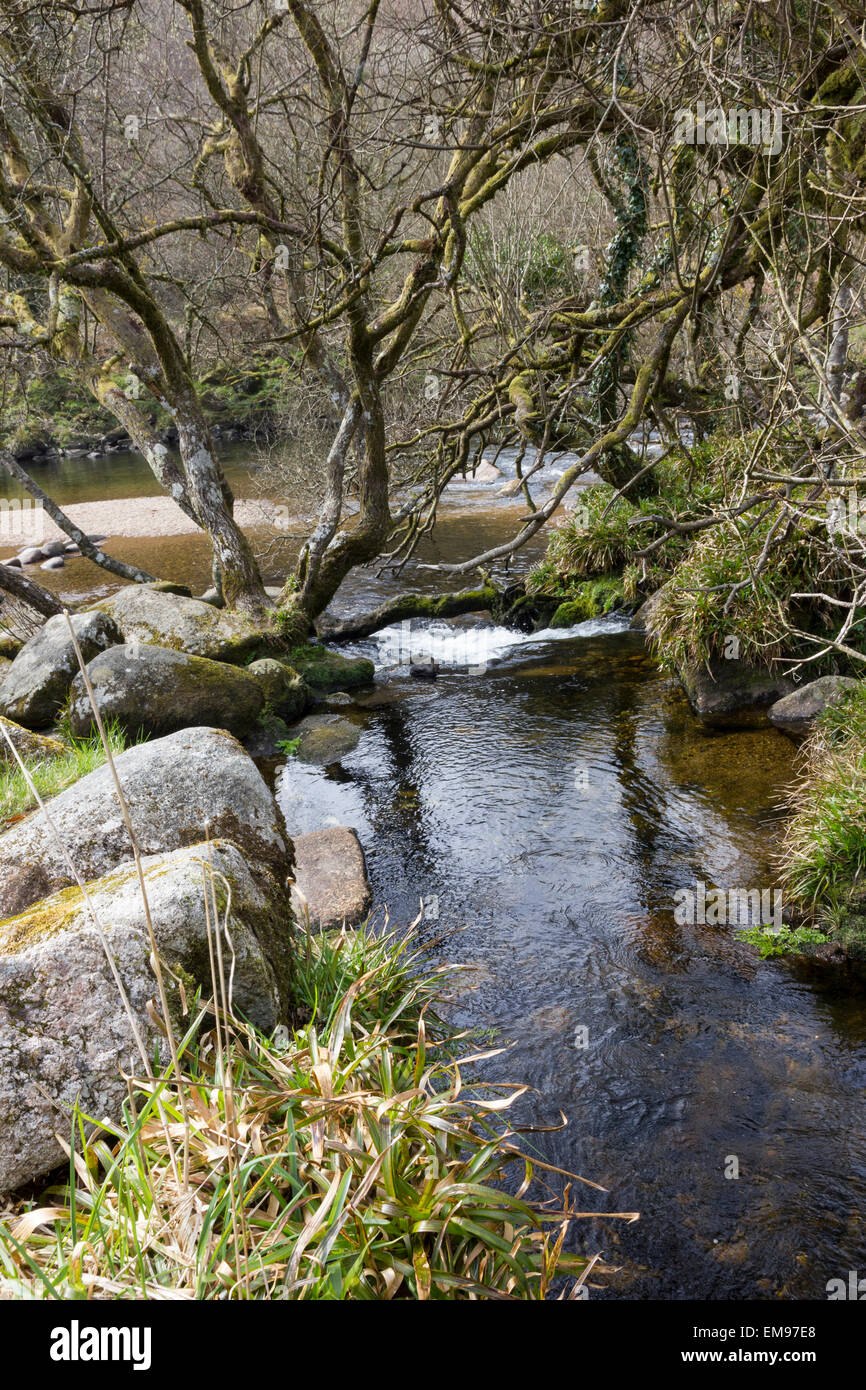 River Dart at Hexworthy Bridge, Dartmoor Stock Photo - Alamy